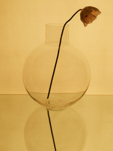 Pallo Vase - Great Dane